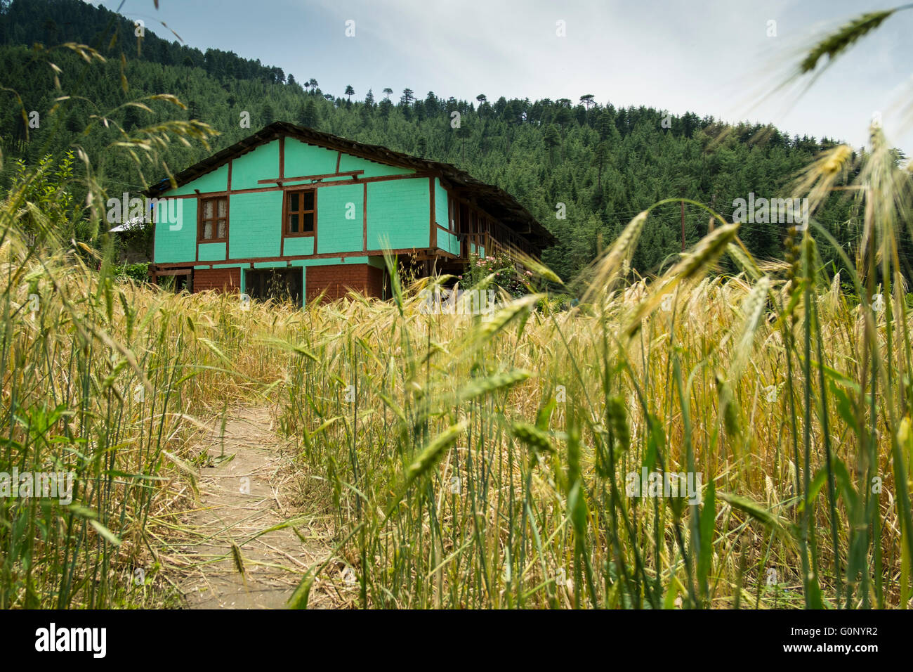 A beautiful Himalayan Log House in the traditional style with its ...