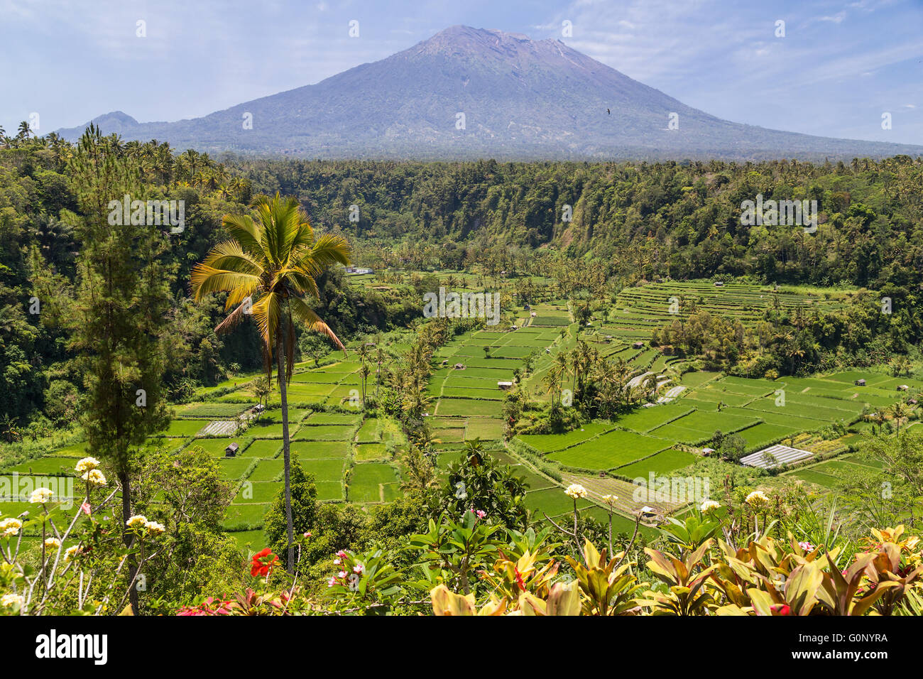 Rice terraces with Mount Agung in background, Bali, Indonesia Stock ...
