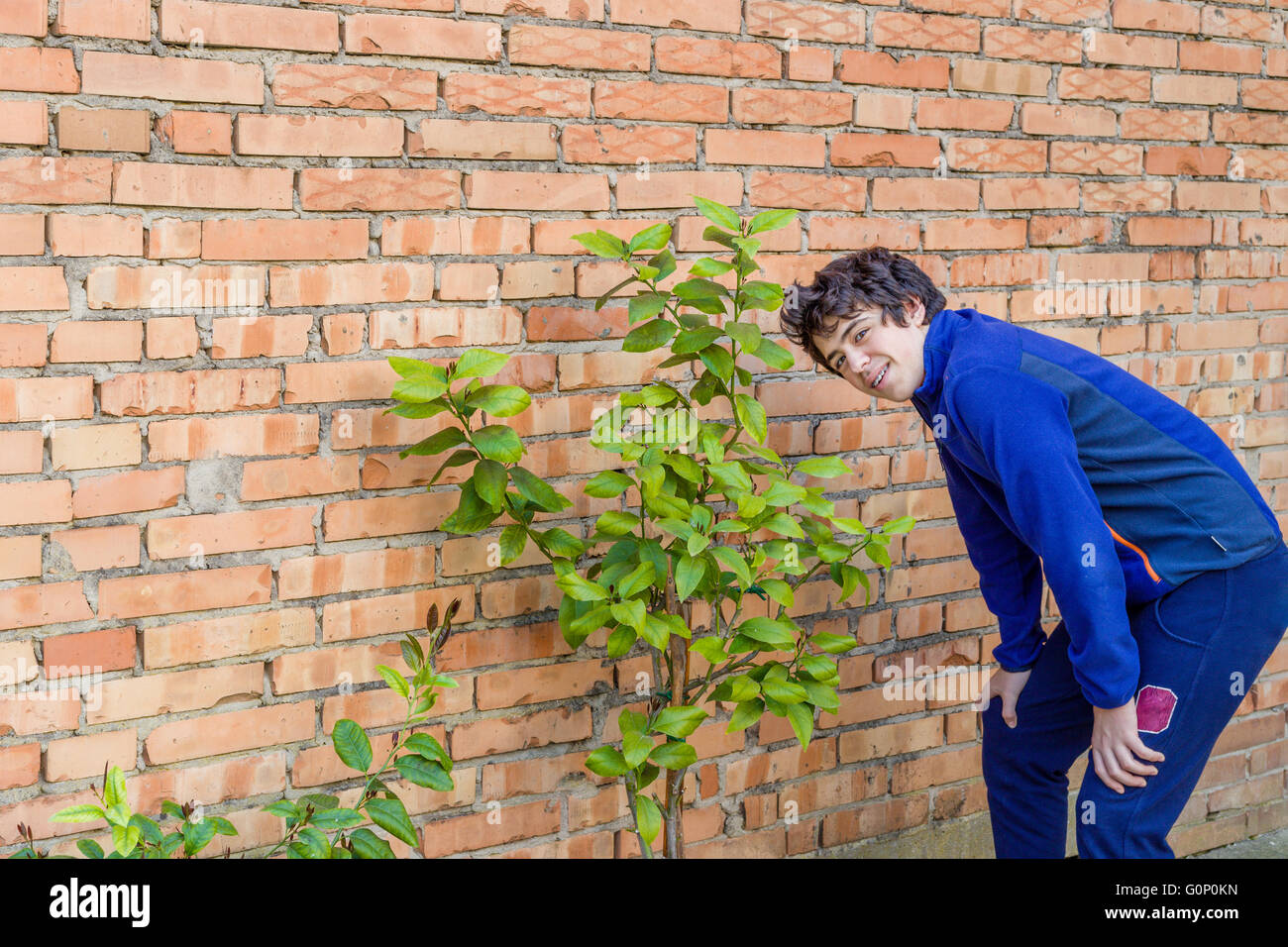 Caucasian boy near a lemon tree Stock Photo - Alamy