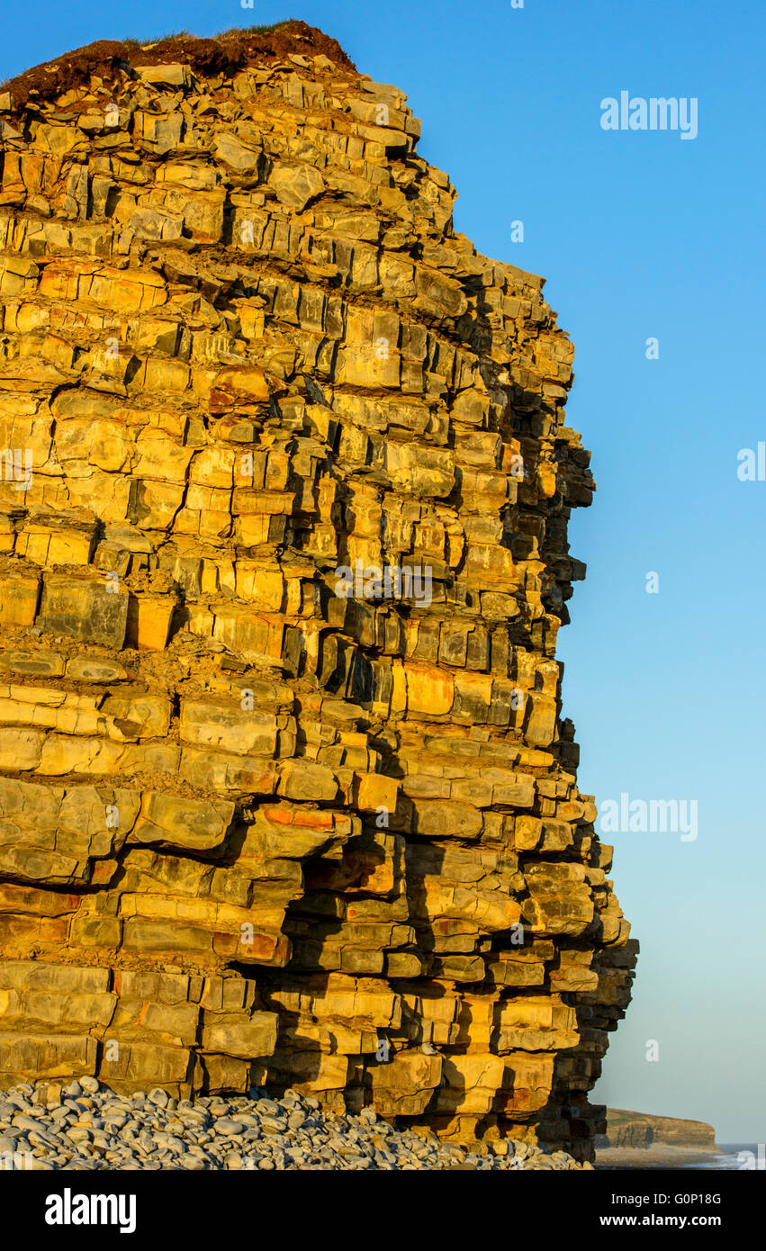 Lias limestone cliffs at Colhugh Beach, Llantwit Major, on the ...