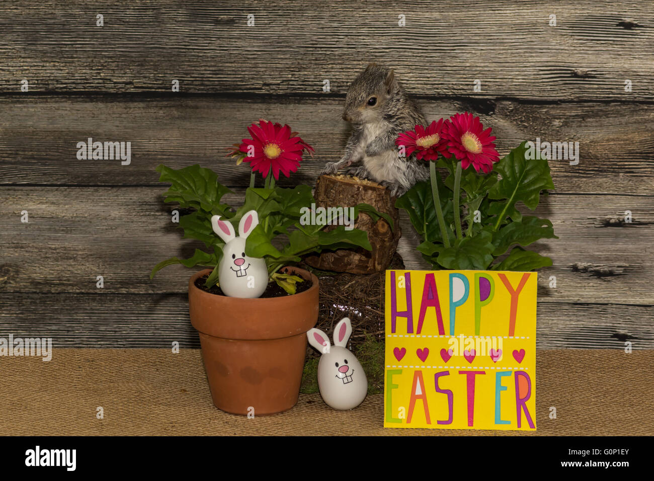 Happy eastern egg hi-res stock photography and images - Alamy