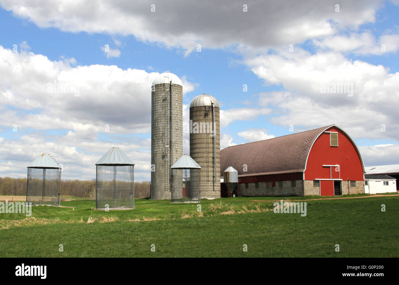 Wisconsin Dairy Farm in a spring setting with a blue sky background ...
