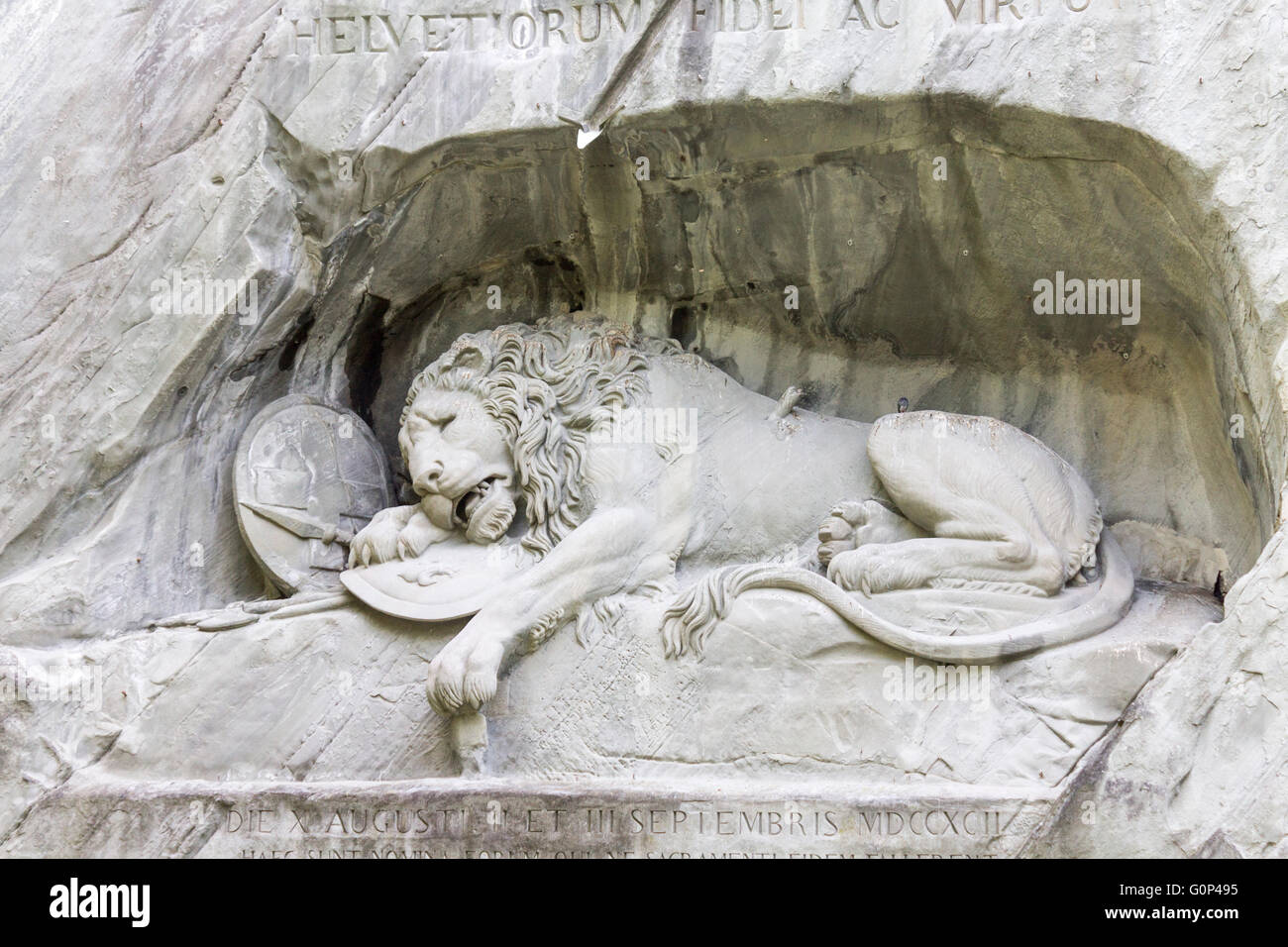 Mortally wounded lion hi-res stock photography and images - Alamy
