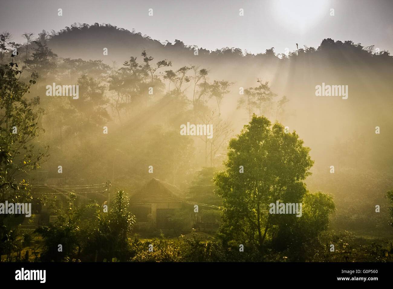 Sun Rays Illuminating Stock Photo - Alamy