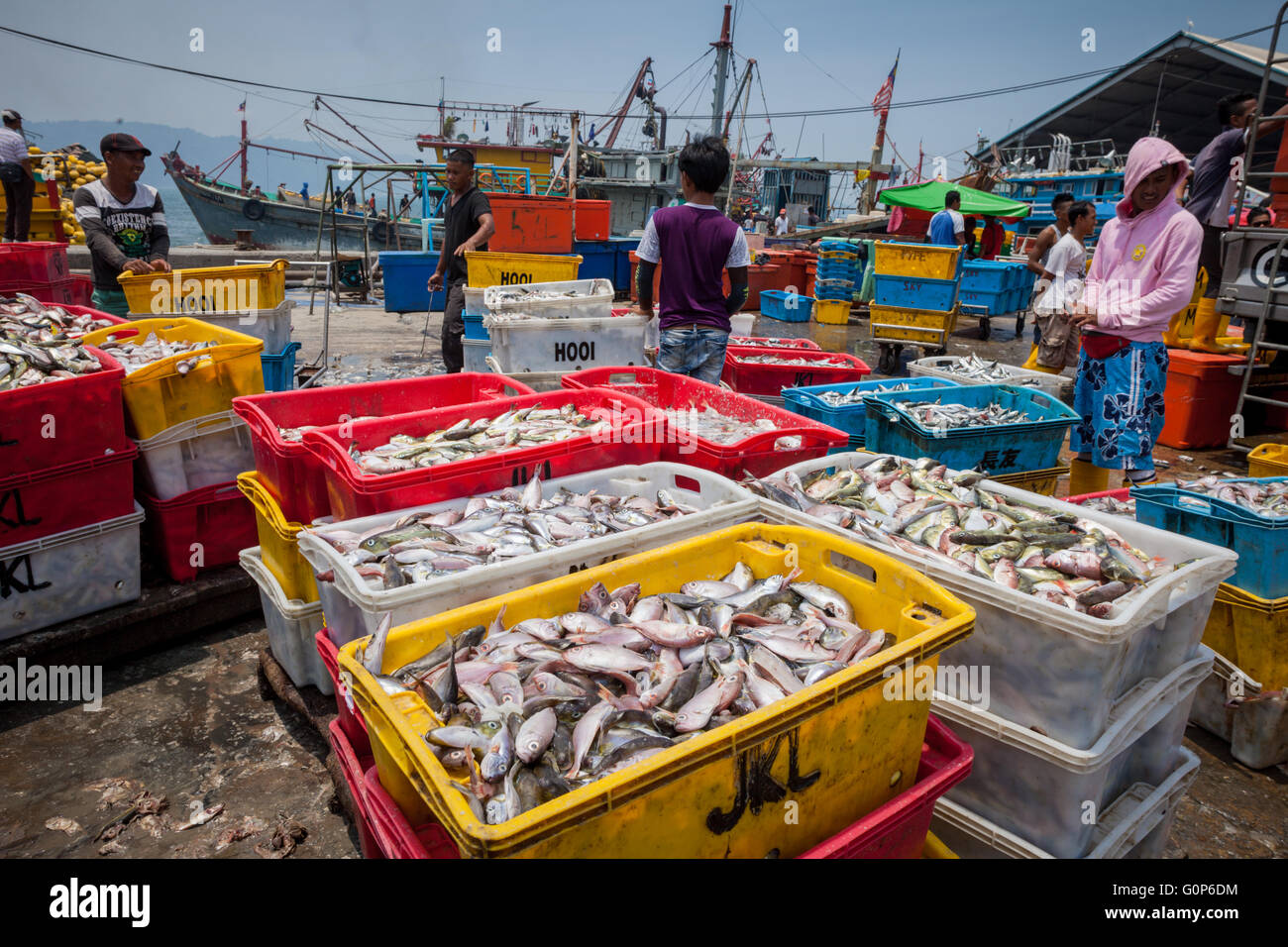 Fishery workers hi-res stock photography and images - Alamy
