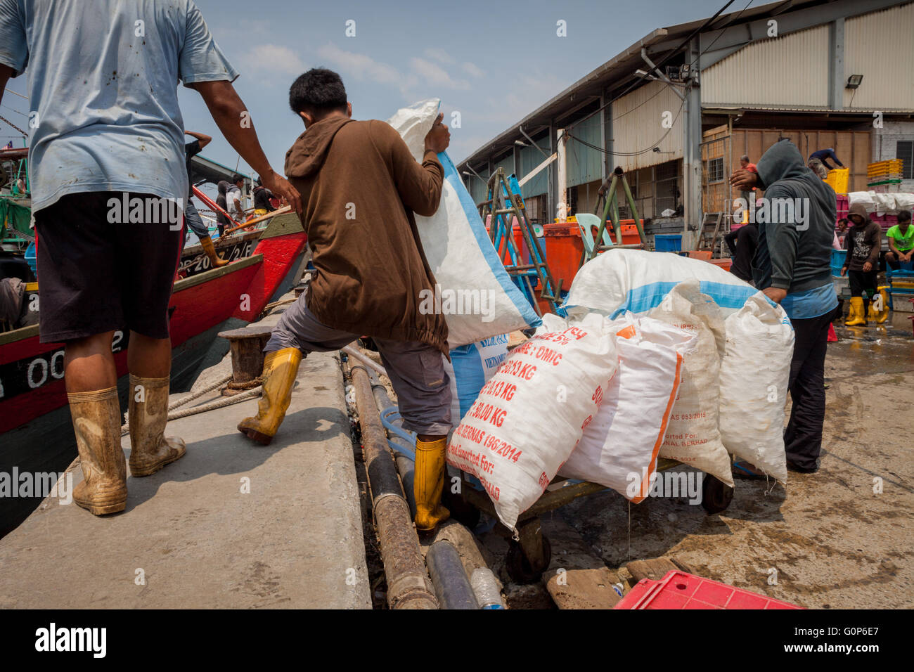 Fish handling hi-res stock photography and images - Alamy