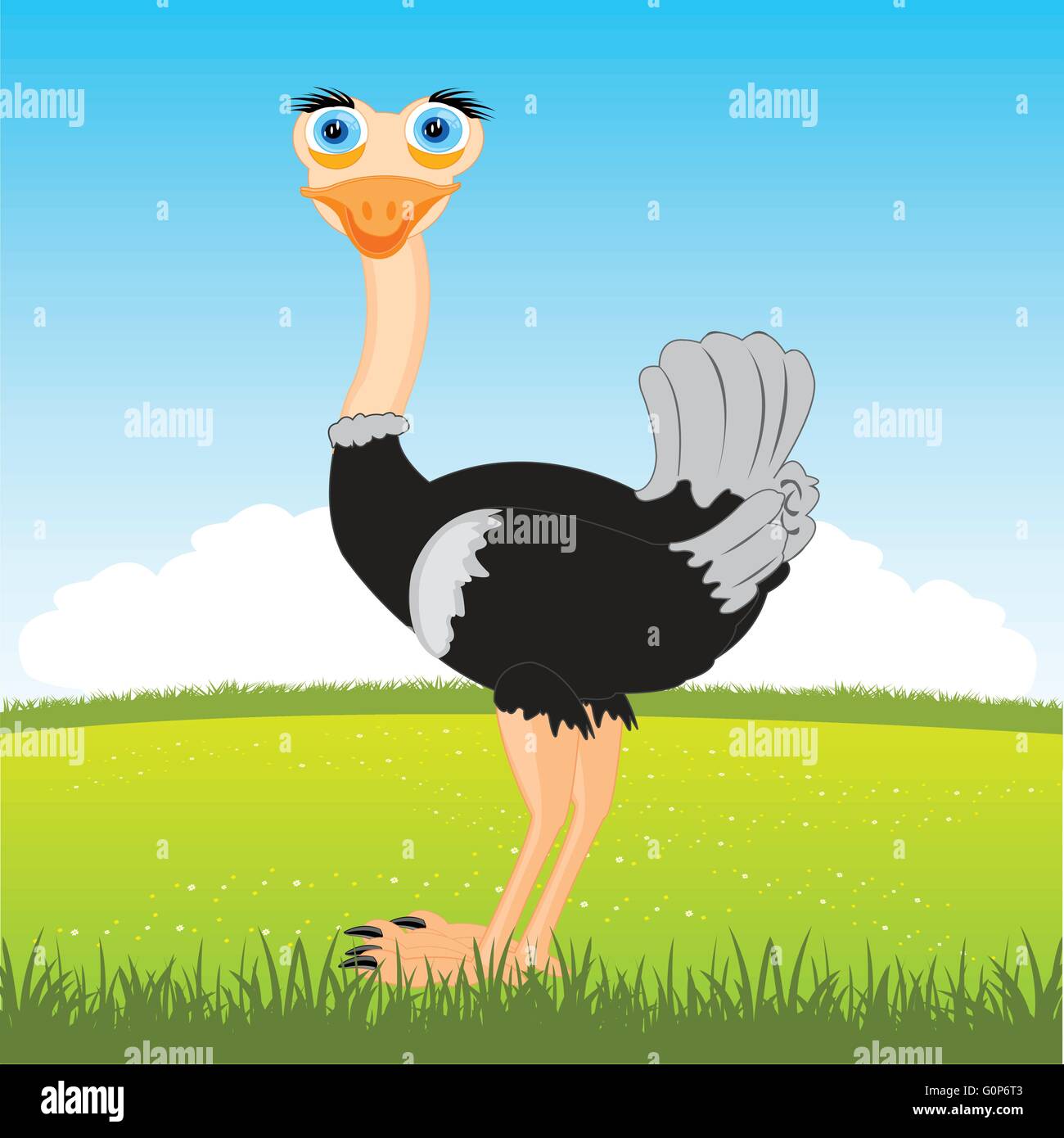 Ostrich on glade Stock Vector Image & Art - Alamy