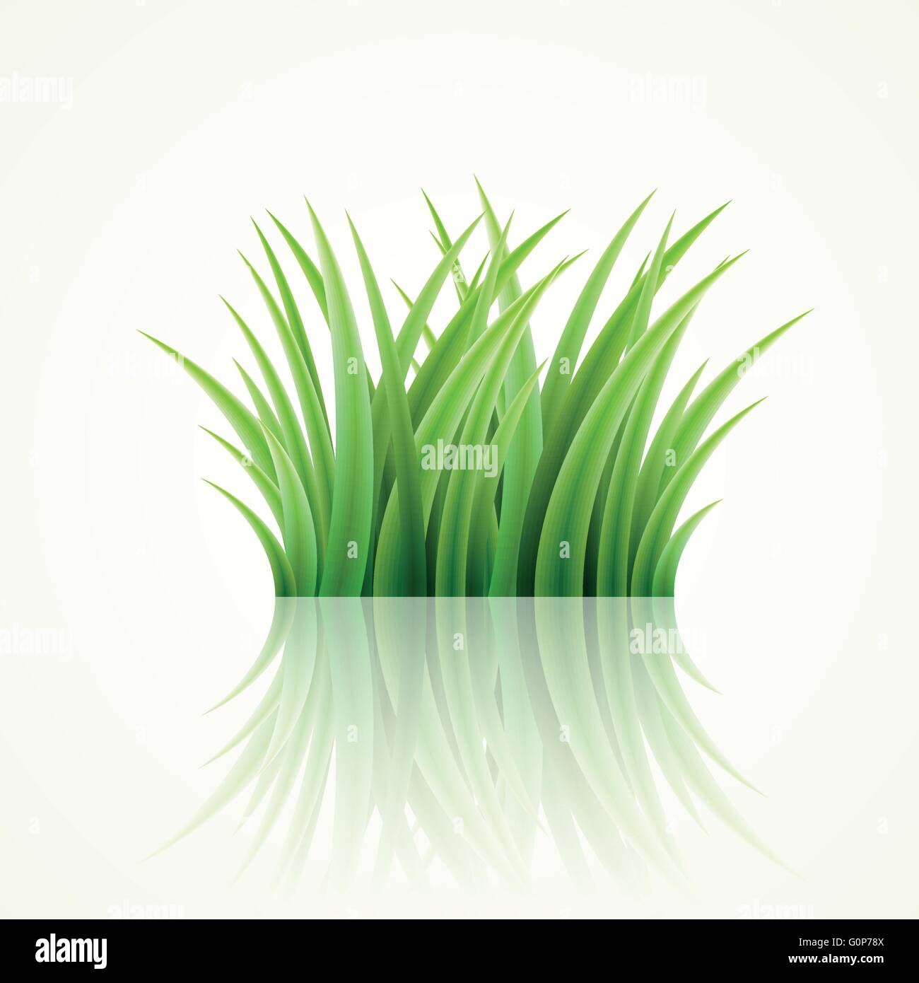 Grass vector vectors hi-res stock photography and images - Alamy