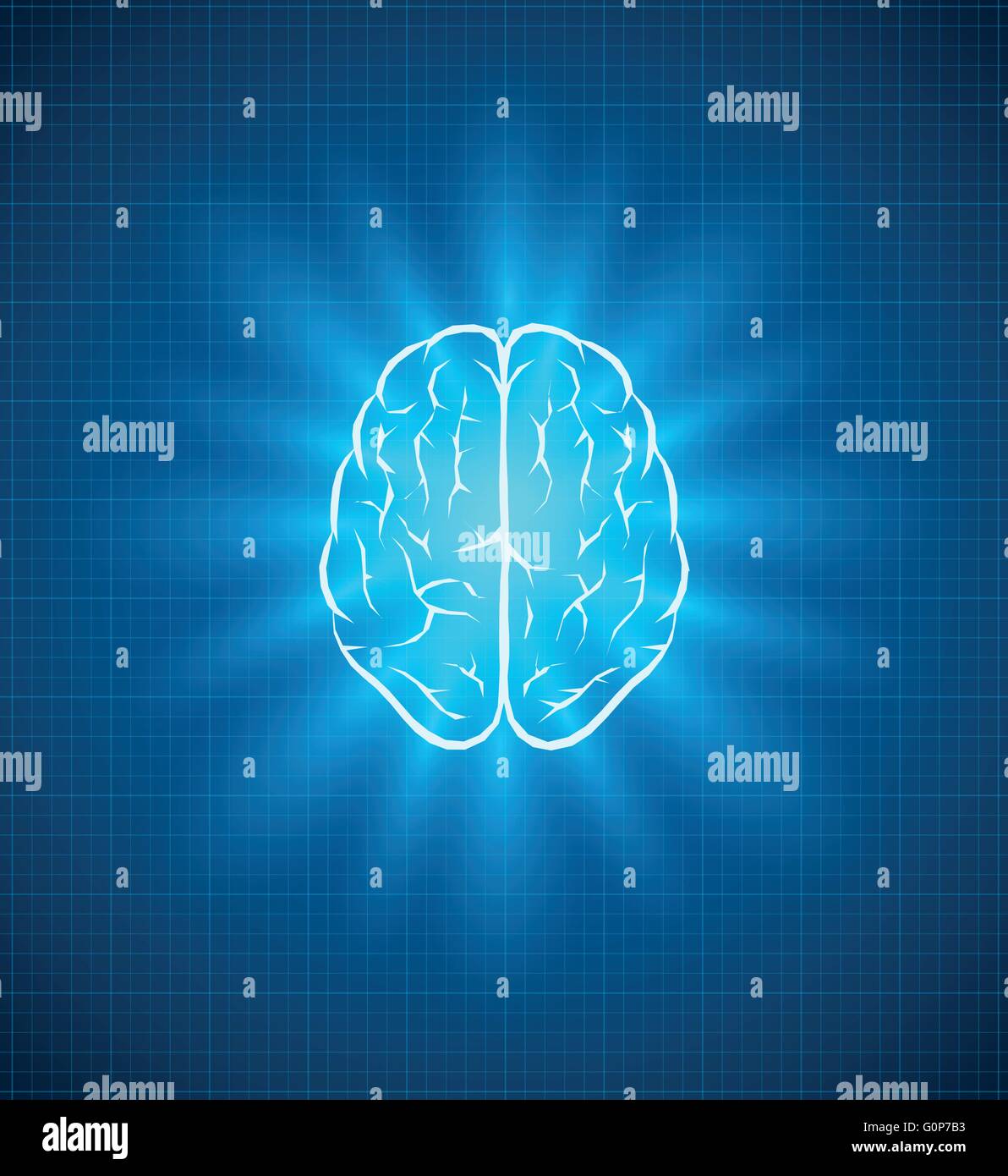 Vector brain blueprint. Elements are layered separately in vector file ...
