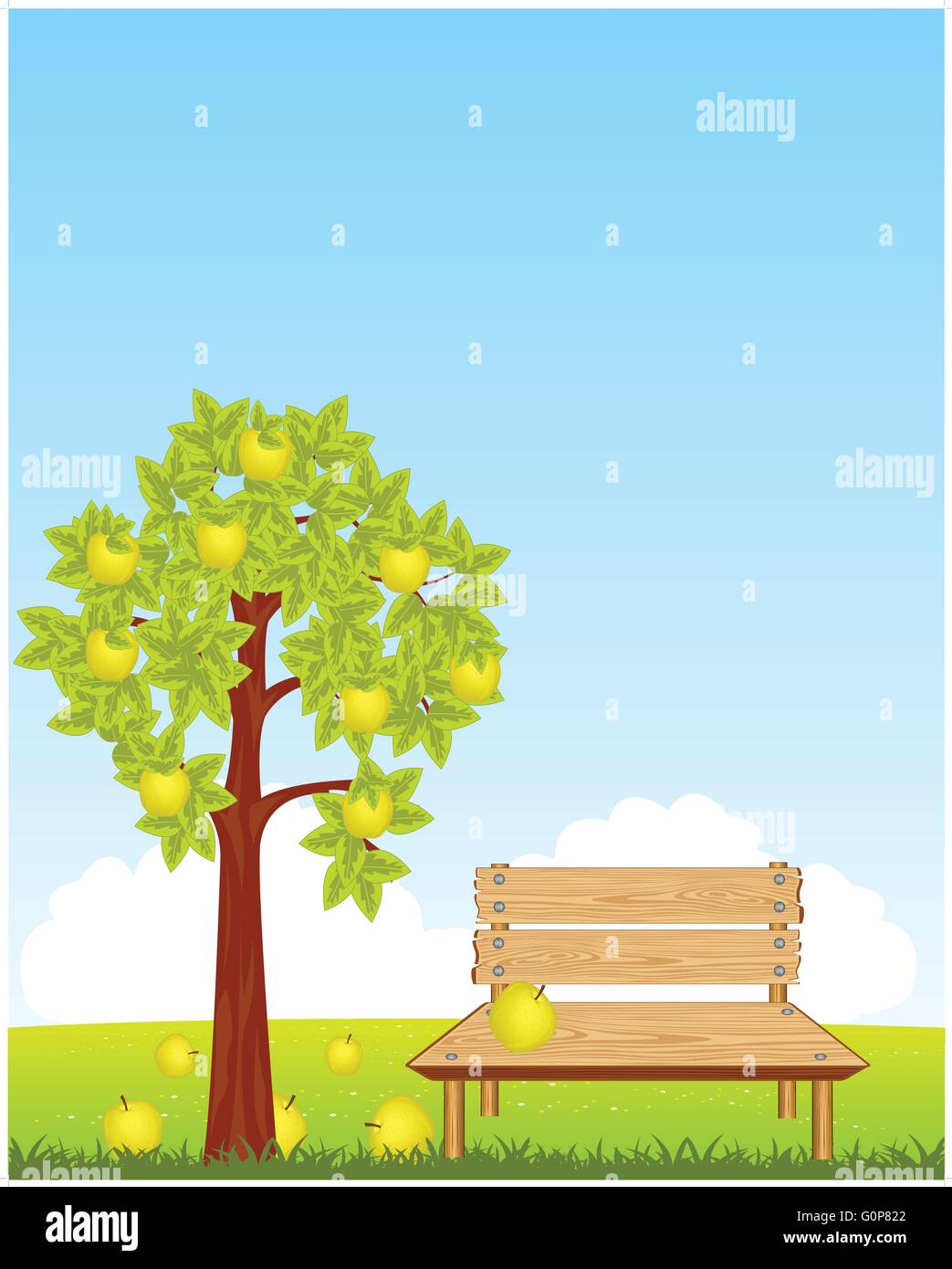 The Wooden bench under aple tree with ripe apple.Vector illustration ...
