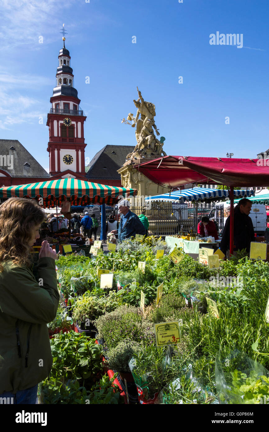 Mannheim marktplatz hi-res stock photography and images - Alamy