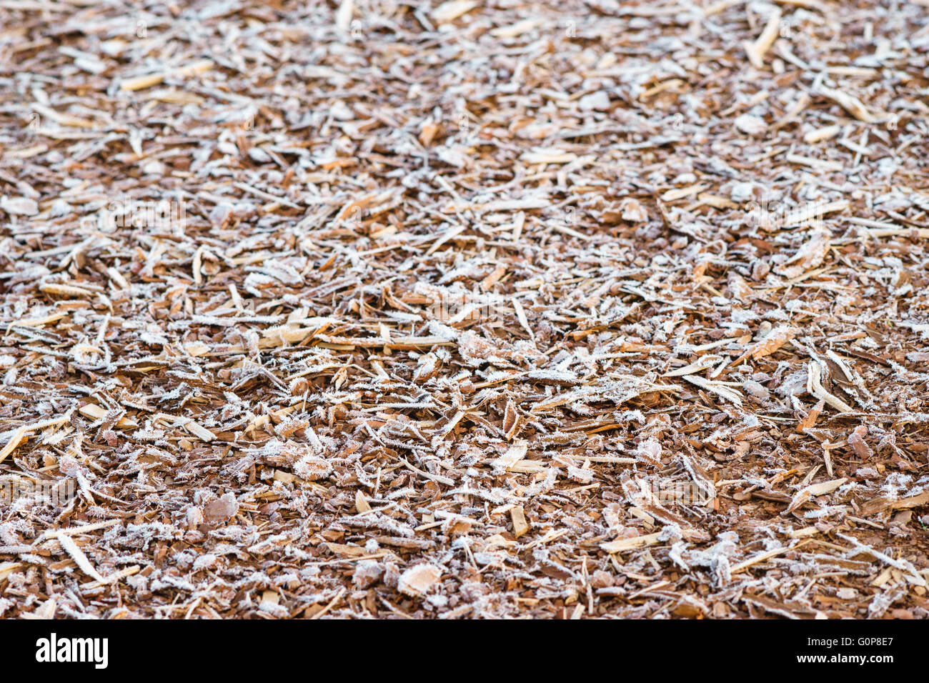 Natural bark used as a soil covered by morning rime, selective focus ...