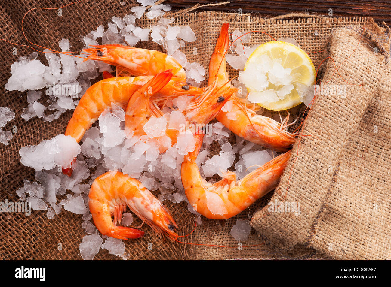 Raw Shrimp Eating