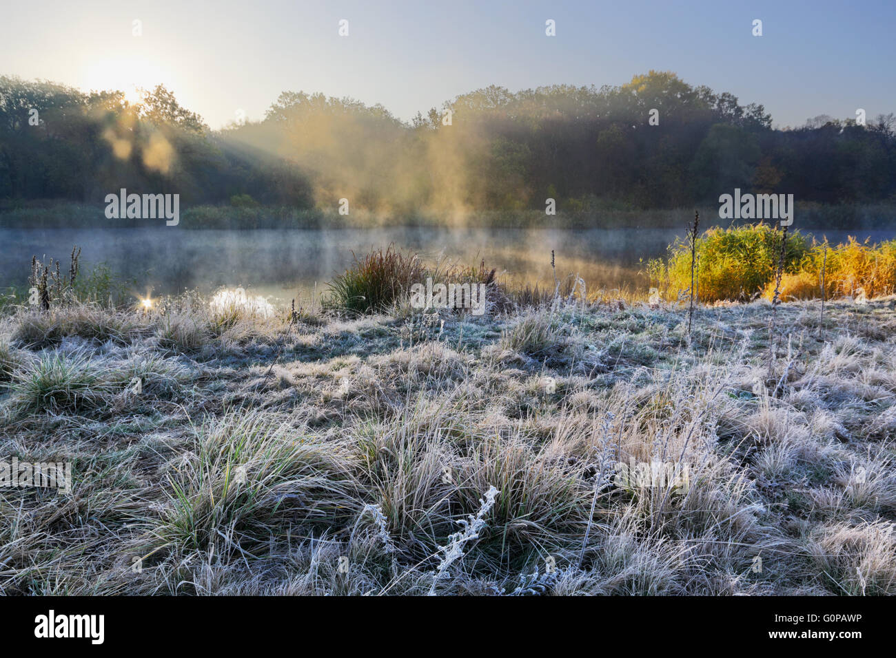 Cold morning landscape with a river. Grass covered by hoarfrost Stock ...