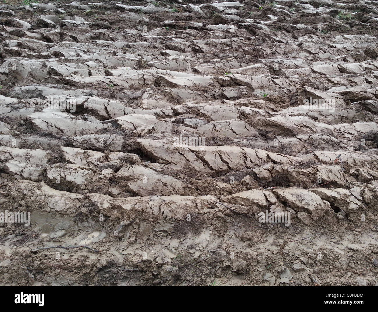 Loam soil texture hi-res stock photography and images - Alamy