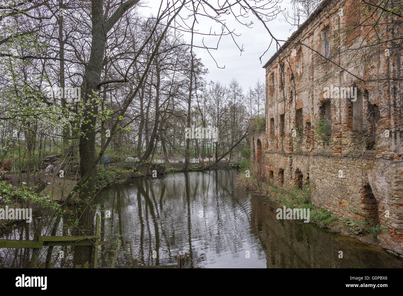 Ruined old moted castle Pankow Lower Silesia Poland Stock Photo - Alamy