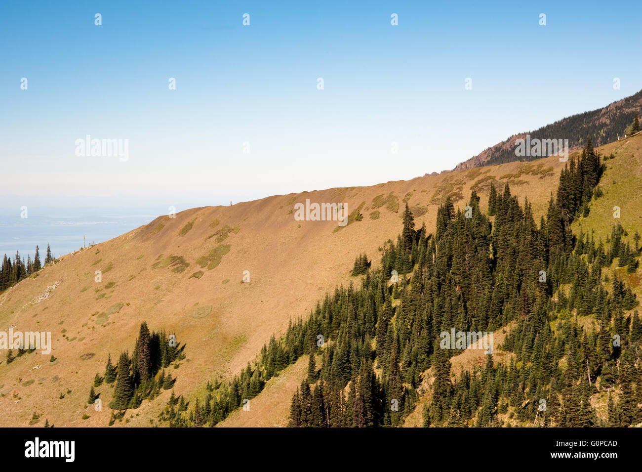Hurricane Ridge in the Olympic Peninsula Stock Photo - Alamy