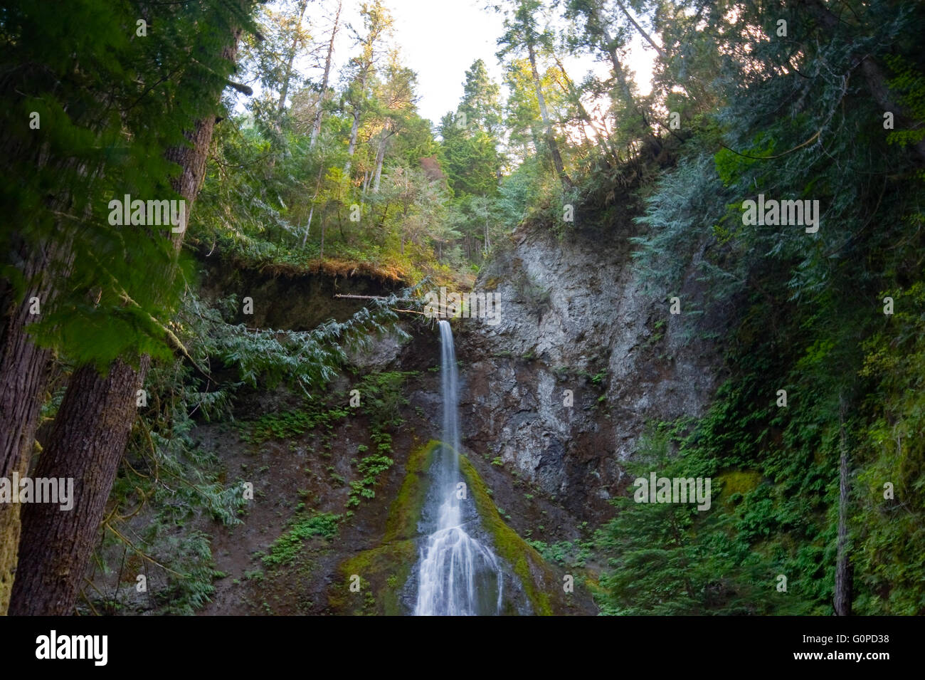 Marymere Falls in the Olympic National Park, WA state Stock Photo - Alamy