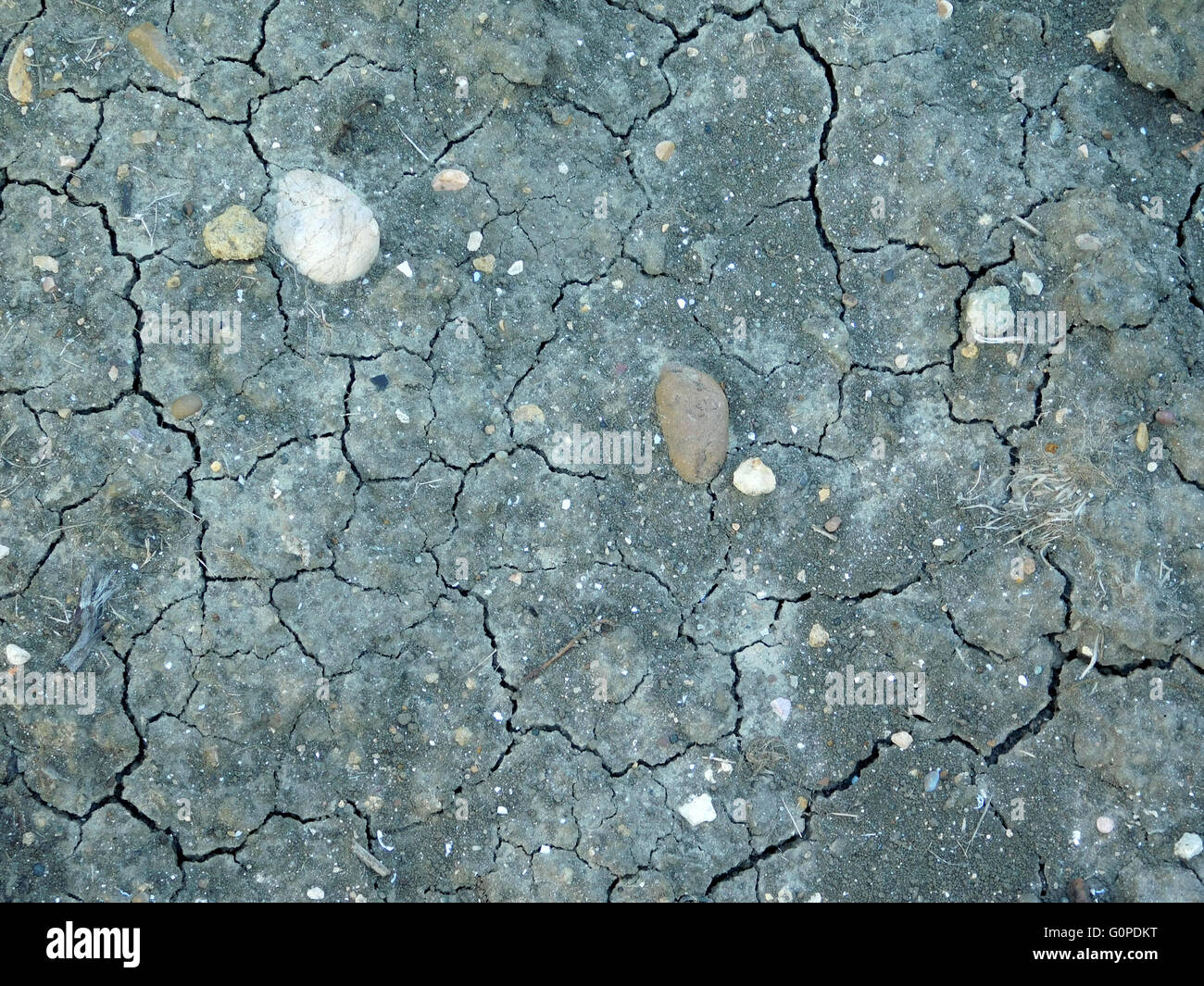 texture of land Stock Photo - Alamy