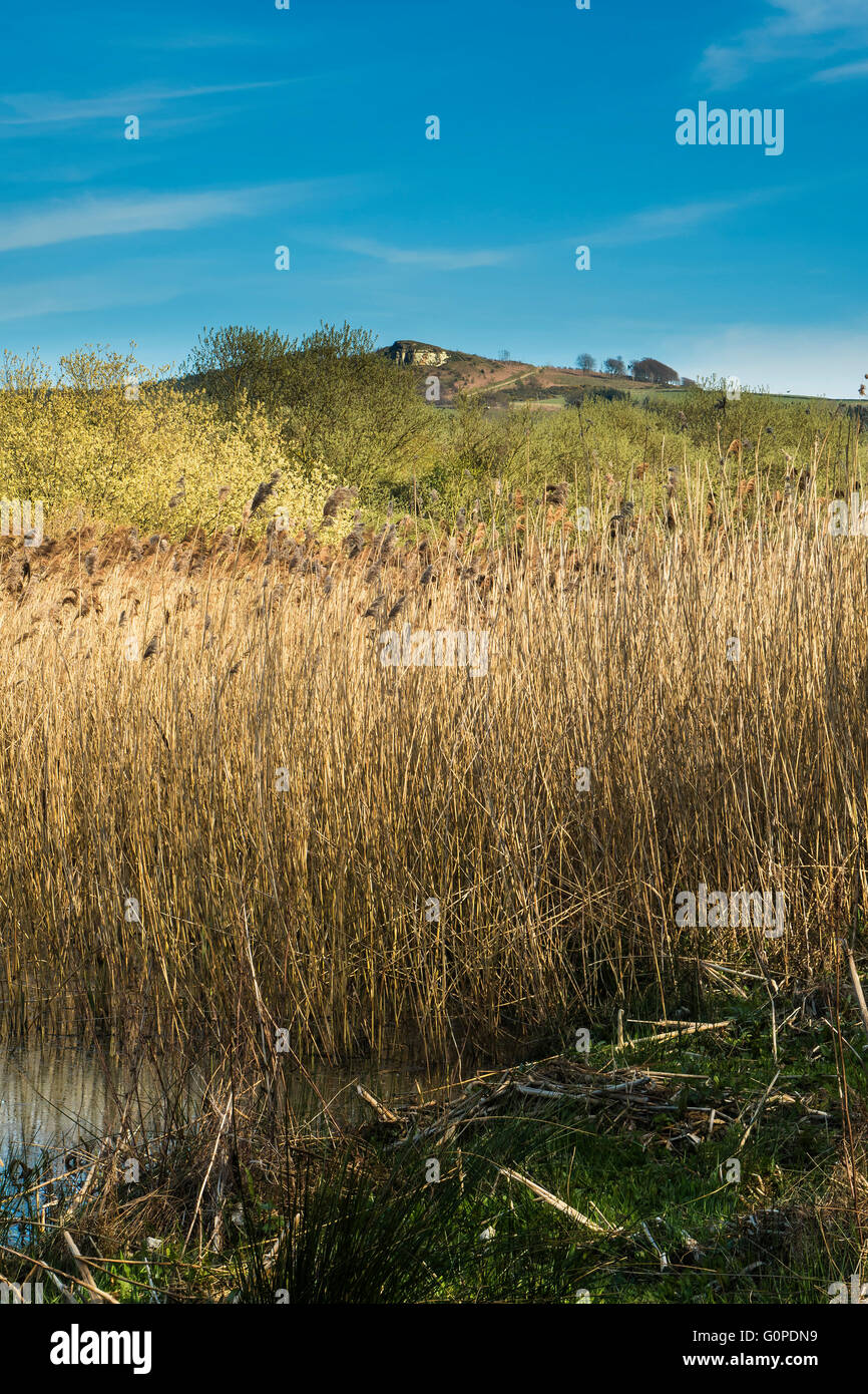 Highcliff Nab from Pinchinthorpe, Guisborough, Cleveland Stock Photo ...