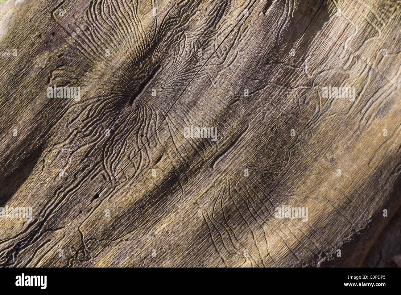 Wormhole hi-res stock photography and images - Alamy