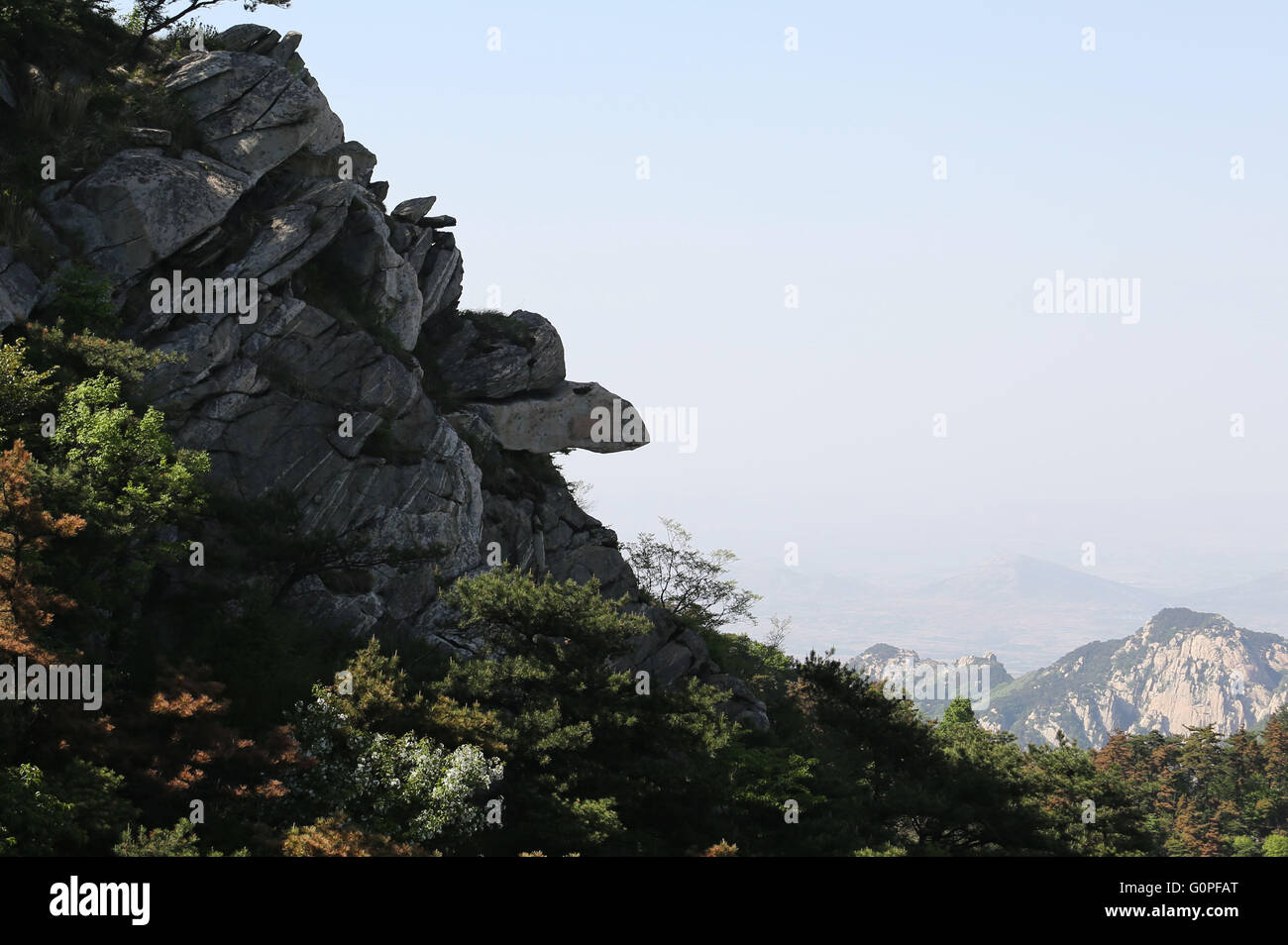 Zhang yimeng hi-res stock photography and images - Alamy
