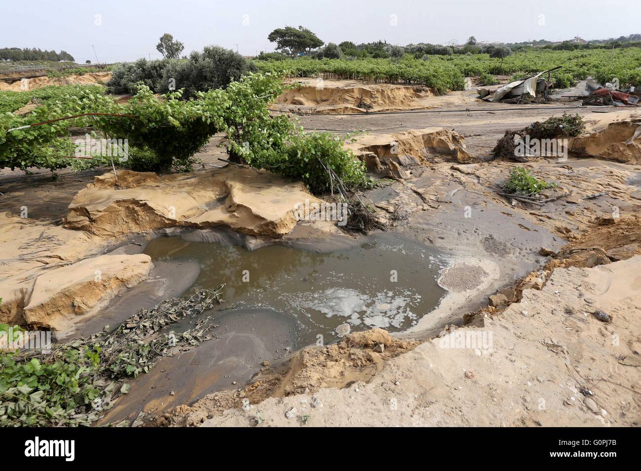 Gaza City, Gaza Strip, Palestinian Territory. 3rd May, 2016 ...