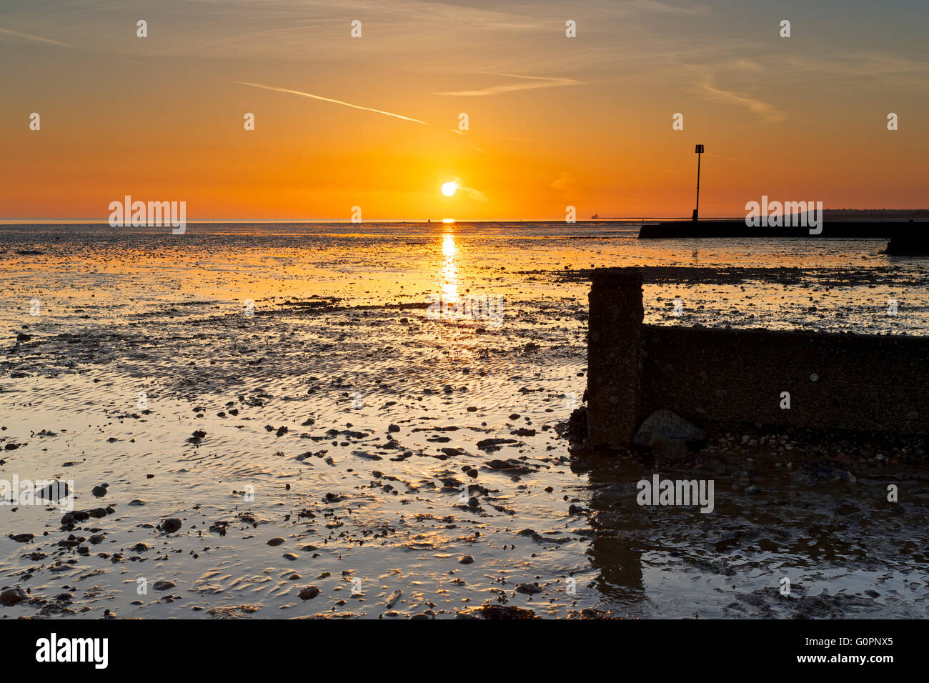 Payton head hi-res stock photography and images - Alamy