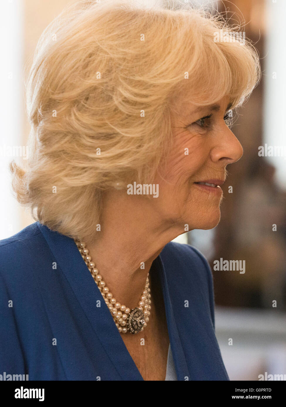 Camilla duchess of cornwall portrait hi-res stock photography and ...