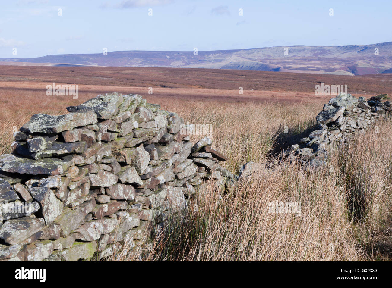A dry stone wall on the moors near the Upper Derwent Valley in the ...