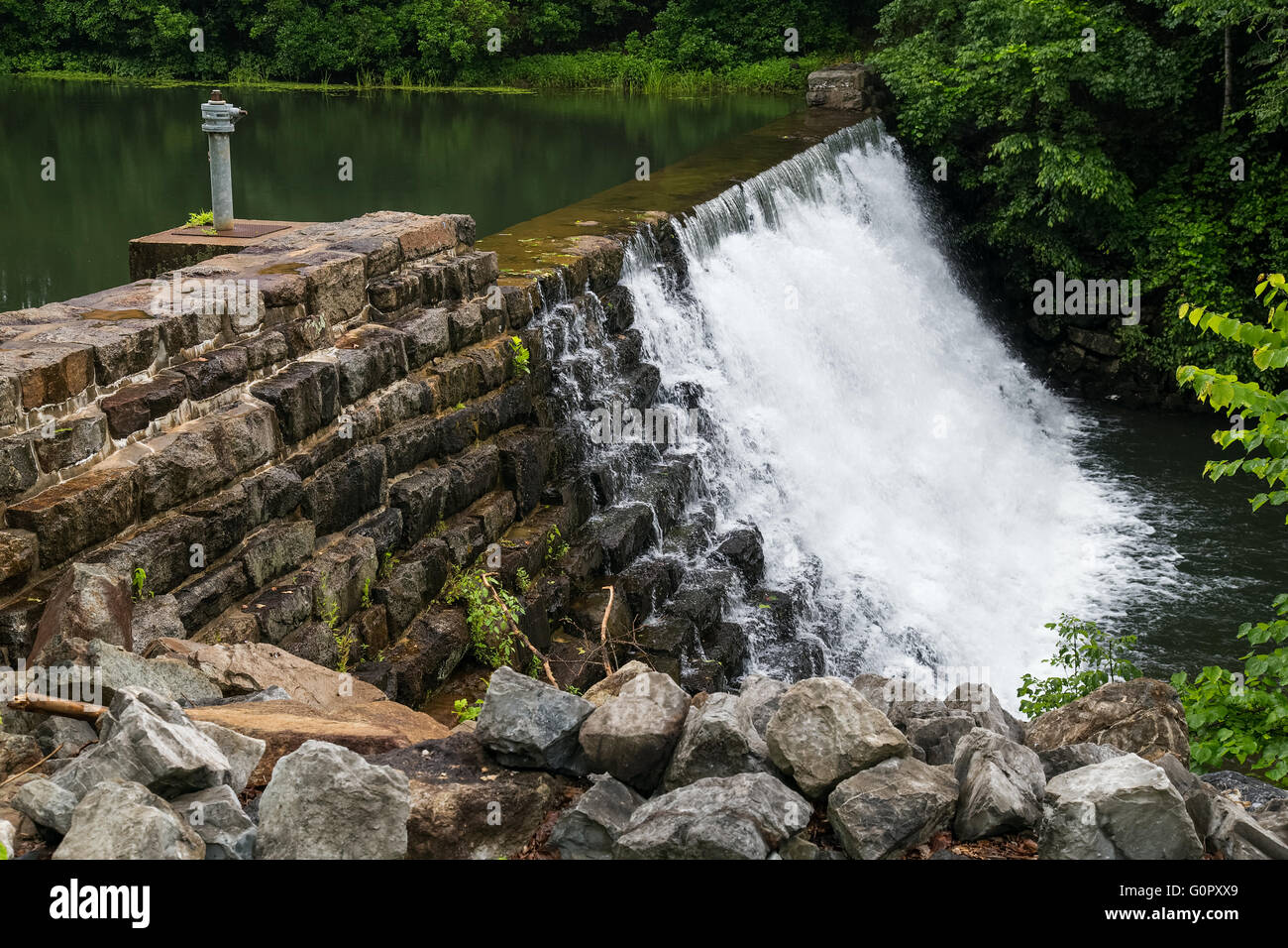 Virginia otter hi-res stock photography and images - Alamy