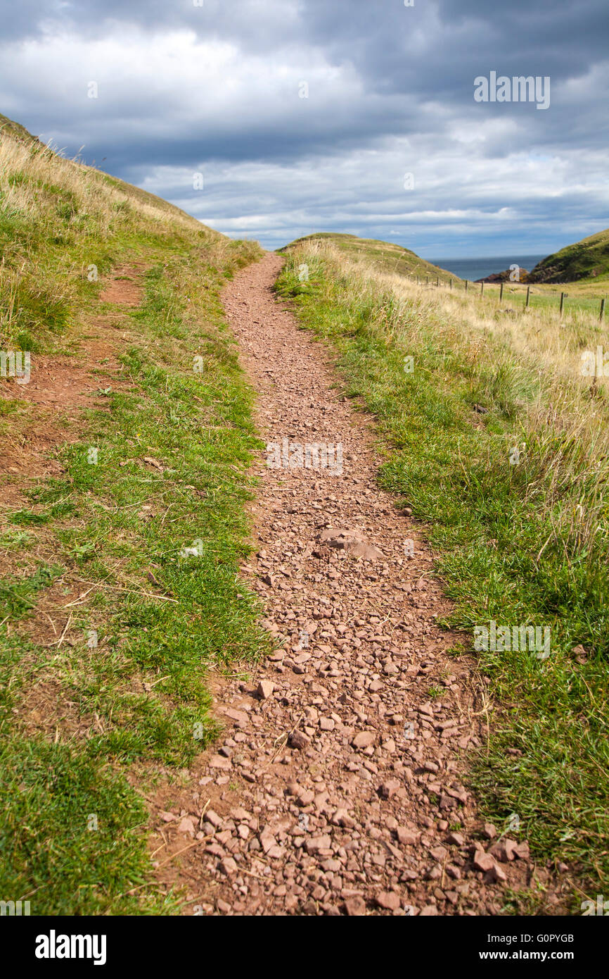 Summer background with green grass and a path close up Stock Photo - Alamy
