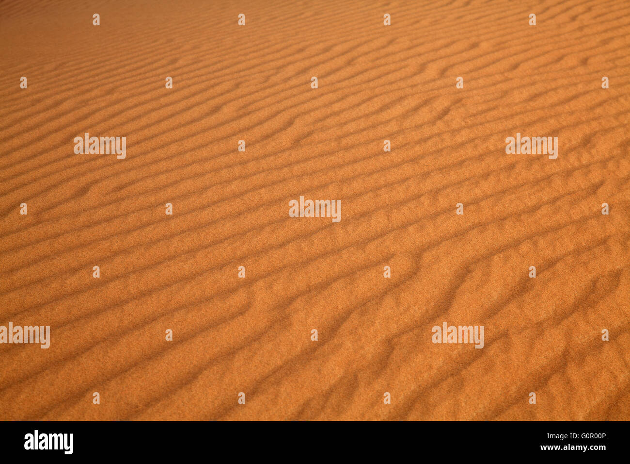 Red sand "Arabian desert" near Dubai, United Arab Emirates Stock Photo ...