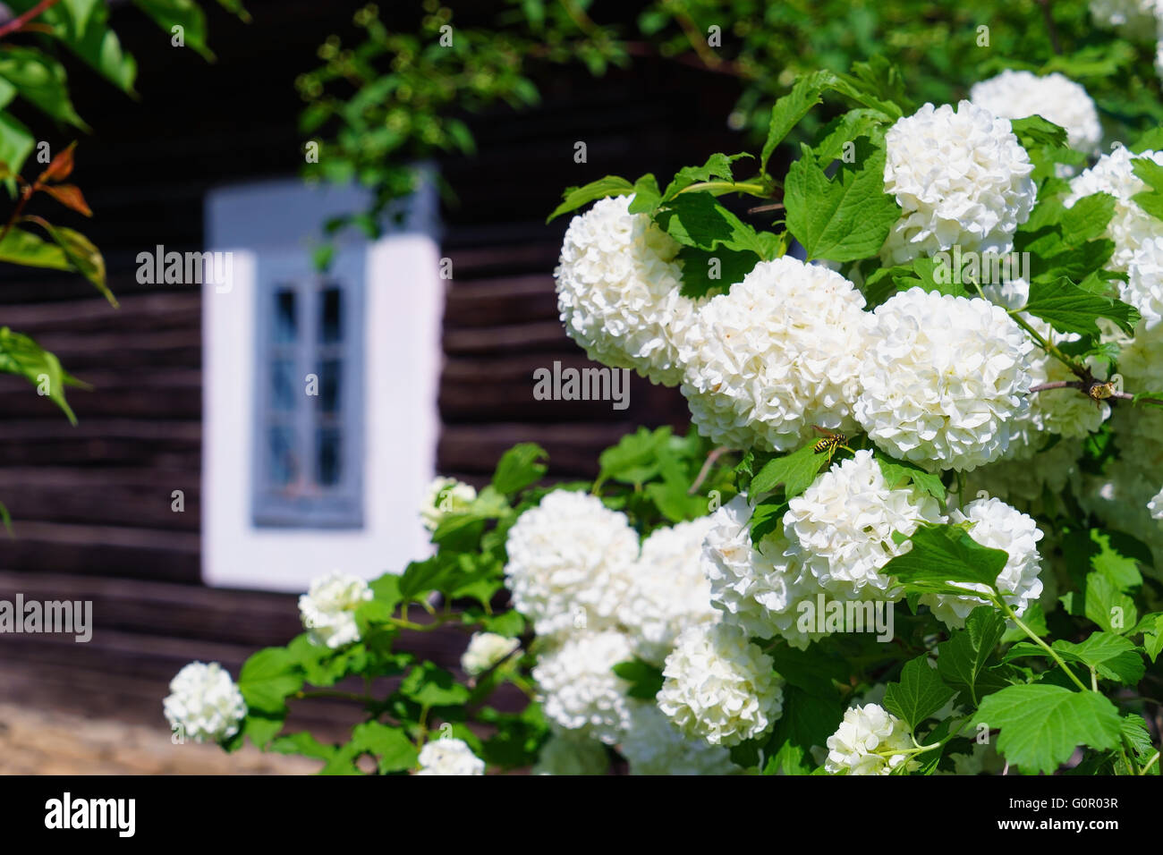 Cabin and chalet hi-res stock photography and images - Alamy