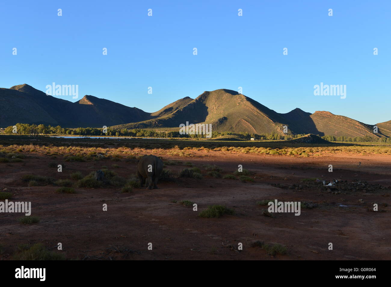 South African mountains at sunset Stock Photo - Alamy
