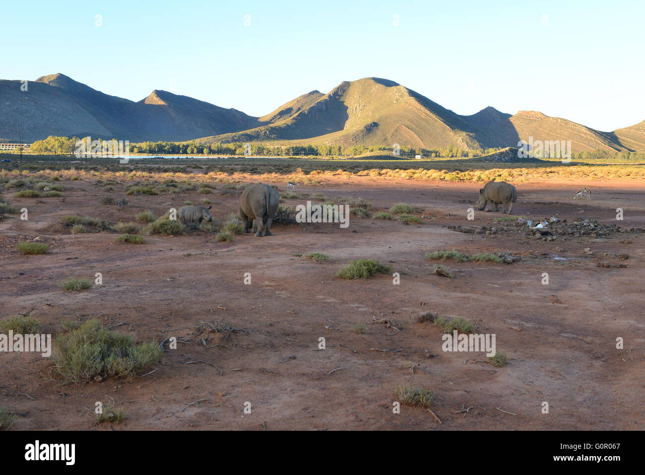 South African mountains at sunset Stock Photo - Alamy