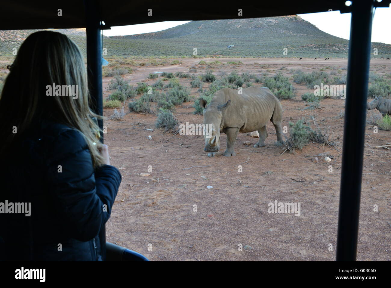 Angry rhino hi-res stock photography and images - Alamy