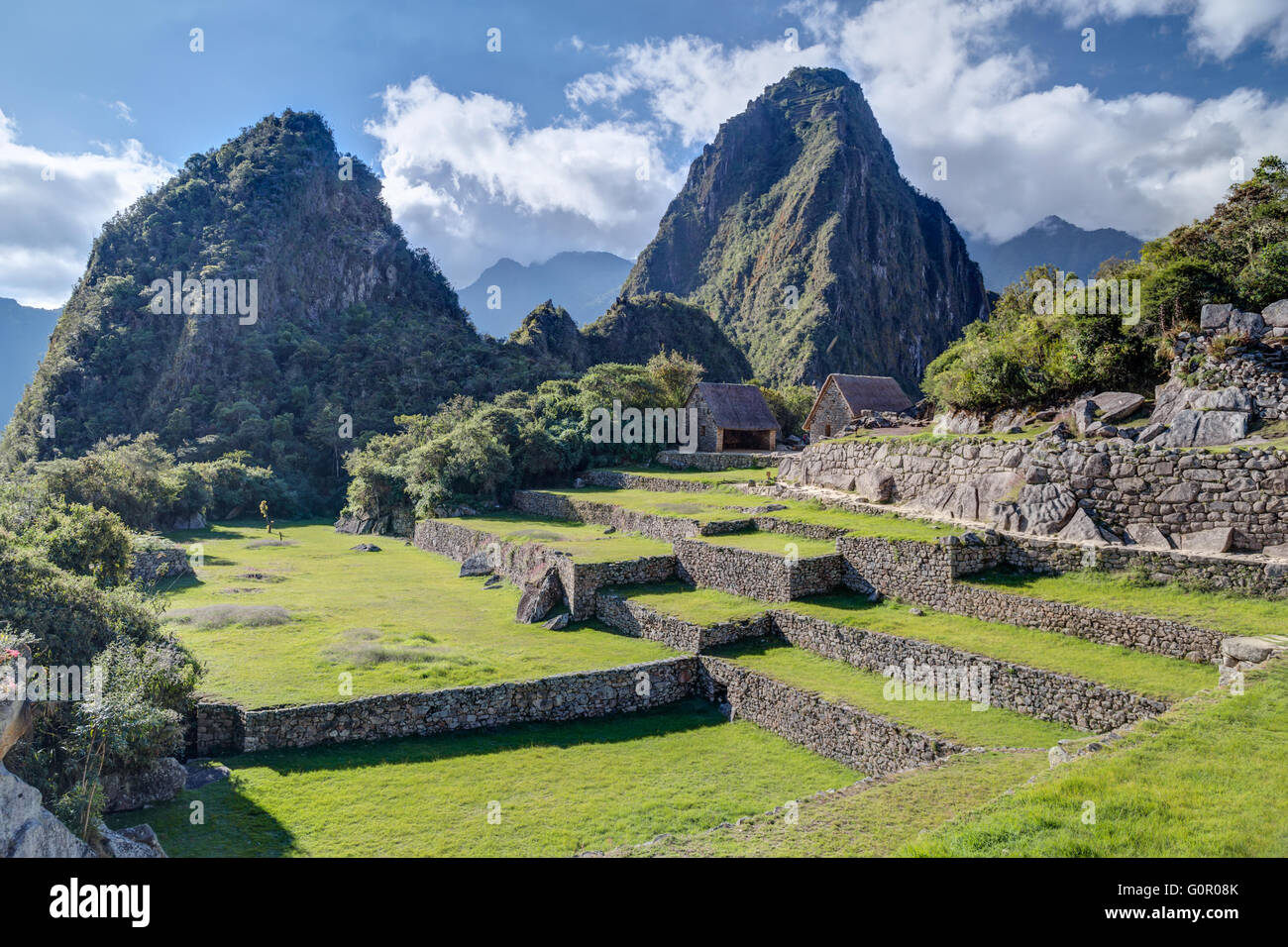 Terraces and old building ruins in Machu Picchu, Peru Stock Photo - Alamy