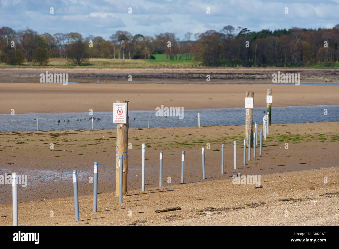 Signs marking the tern (bird) nesting area on the beach at John Muir ...