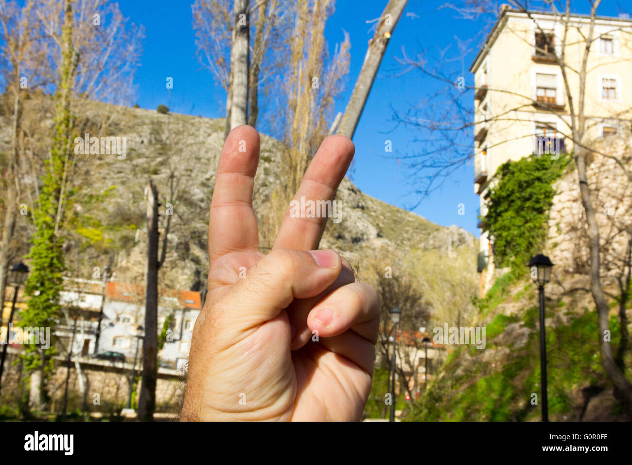 Trees in a park in the city of Cuenca, Spain Stock Photo - Alamy