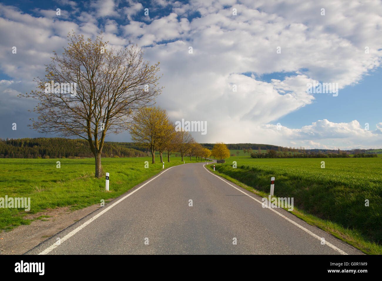 Empty road in spring landscape after rain Stock Photo - Alamy
