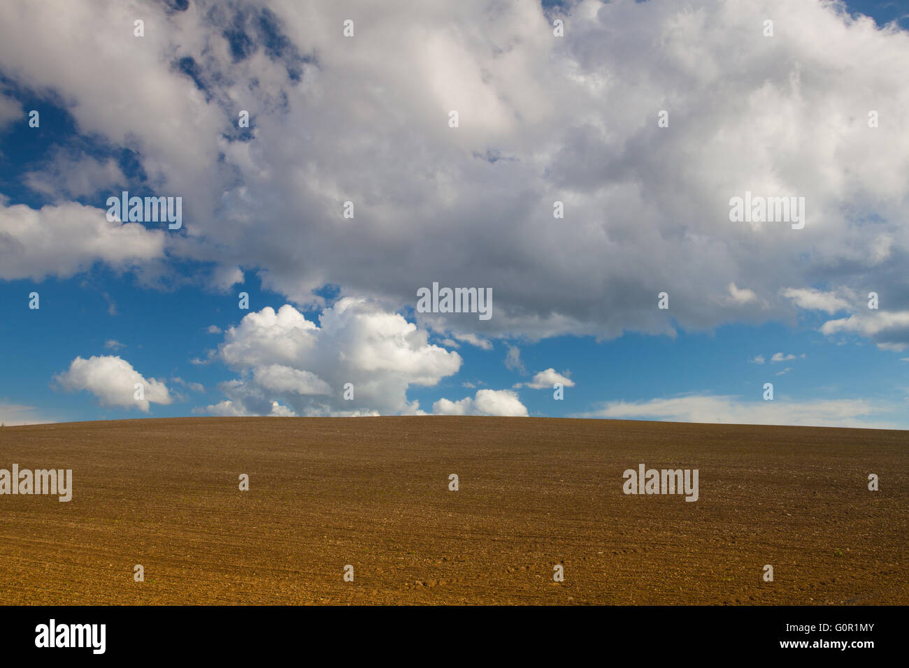 Spring cultivated field in the empty landscape after rain Stock Photo ...