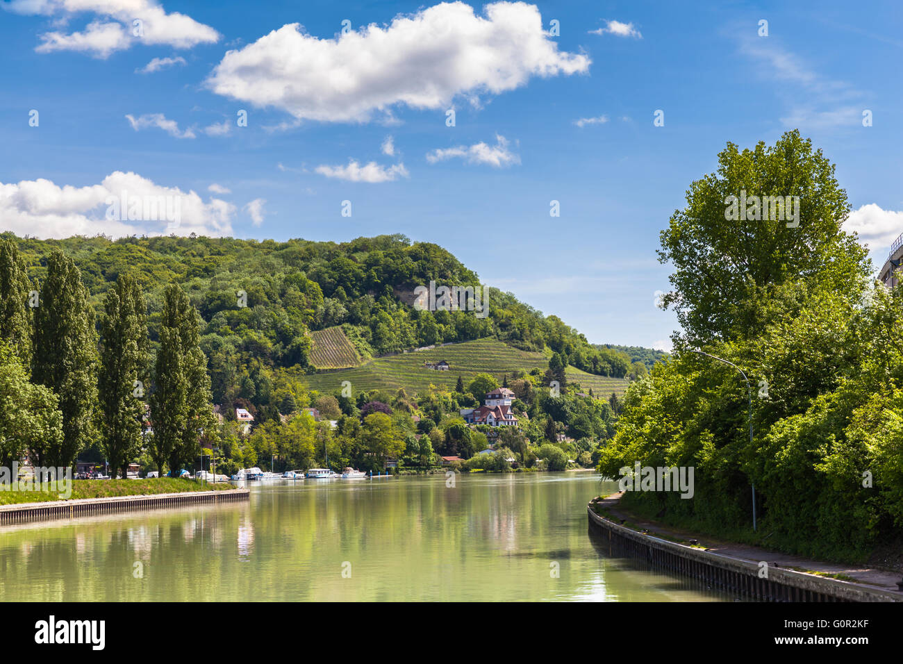 View of wine yard on the river side of Rhine near Basel city in ...