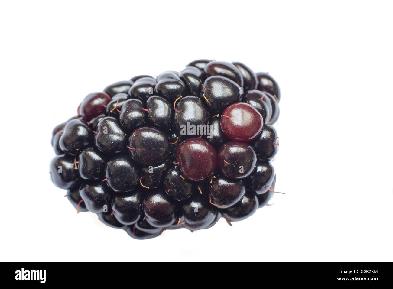 Sycamine hi-res stock photography and images - Alamy