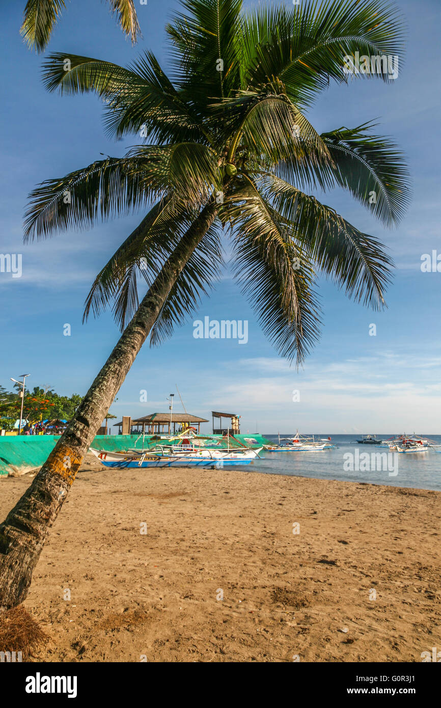 Philippines Palawan Puerto Princesa Sabang Boats to take visitors to ...