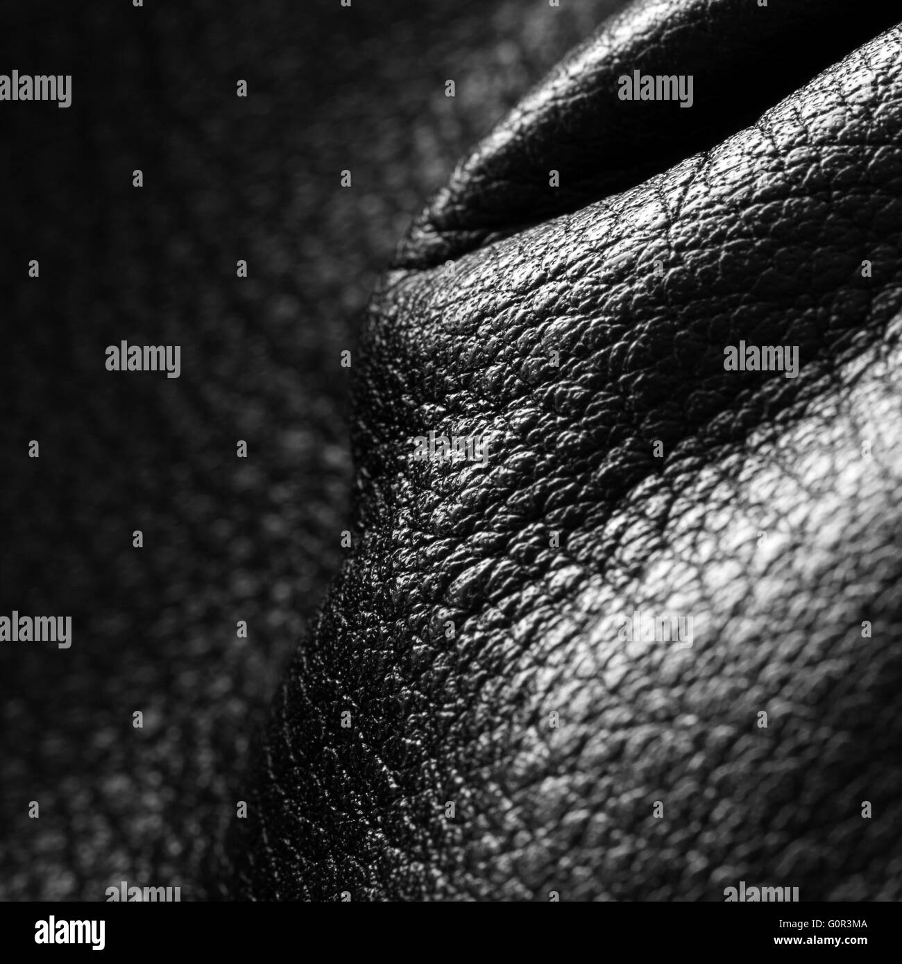 Light blue cotton fabric Black and White Stock Photos & Images - Alamy