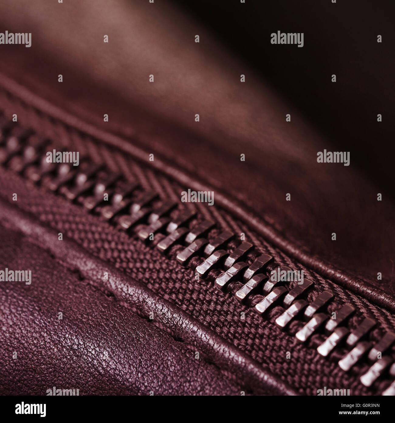 Jacket with zipper detail, fashion industry concepts Stock Photo - Alamy