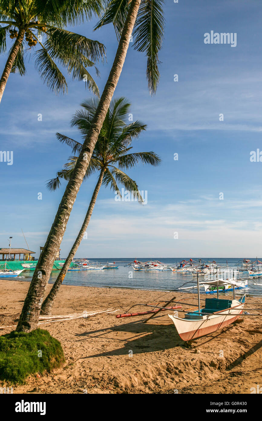 Philippines Palawan Puerto Princesa Sabang Boats to take visitors to ...