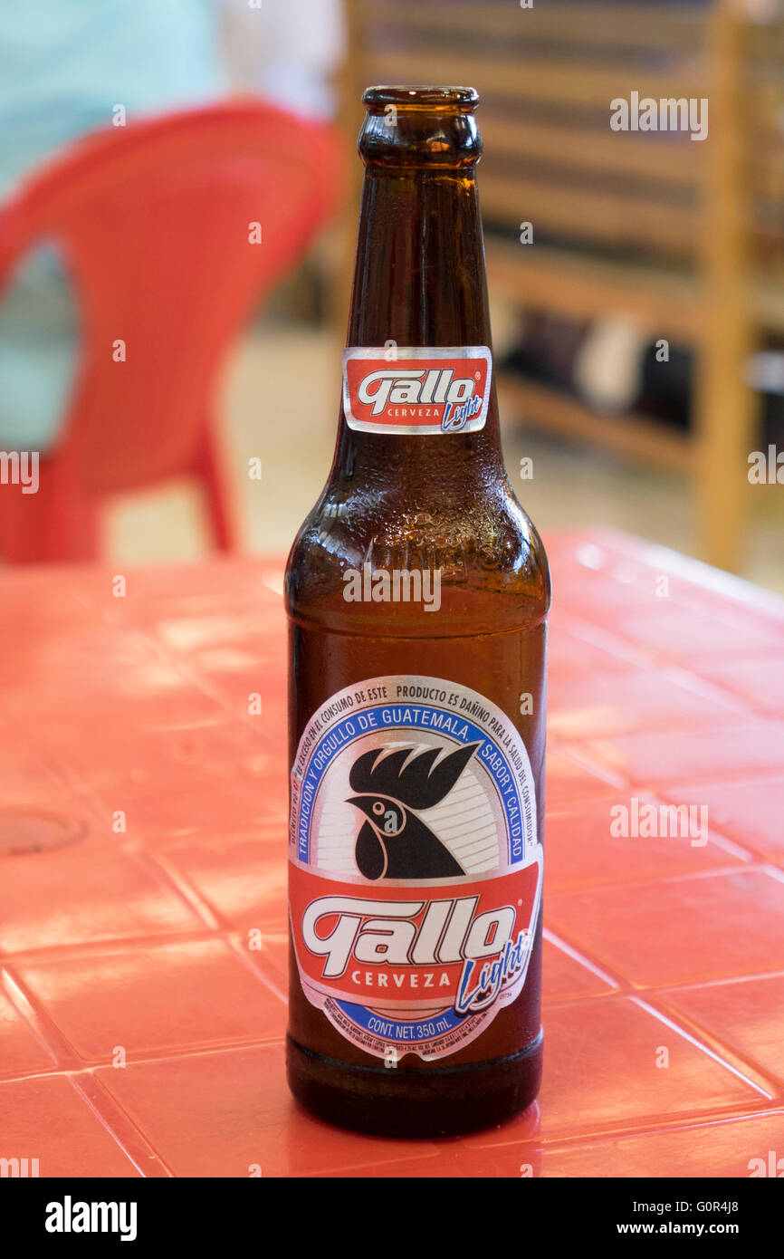 Gallo Beer Bottle On A Table In Santo Tomas de Castilla Guatemala Stock ...