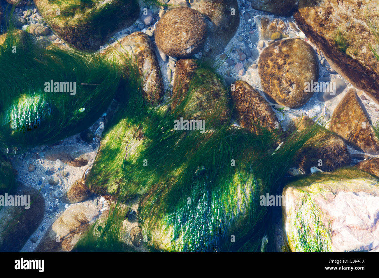 Rock Pools - South Pembrokeshire backgrounds Stock Photo - Alamy